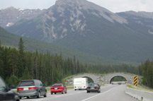 Trans-Canada Highway near Banff has million-dollar overpasses just for ...